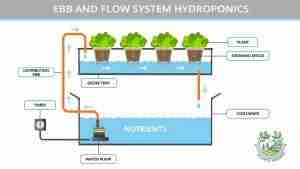 Here Are Ebb And Flow System Pros And Cons (And Why You Should Consider ...
