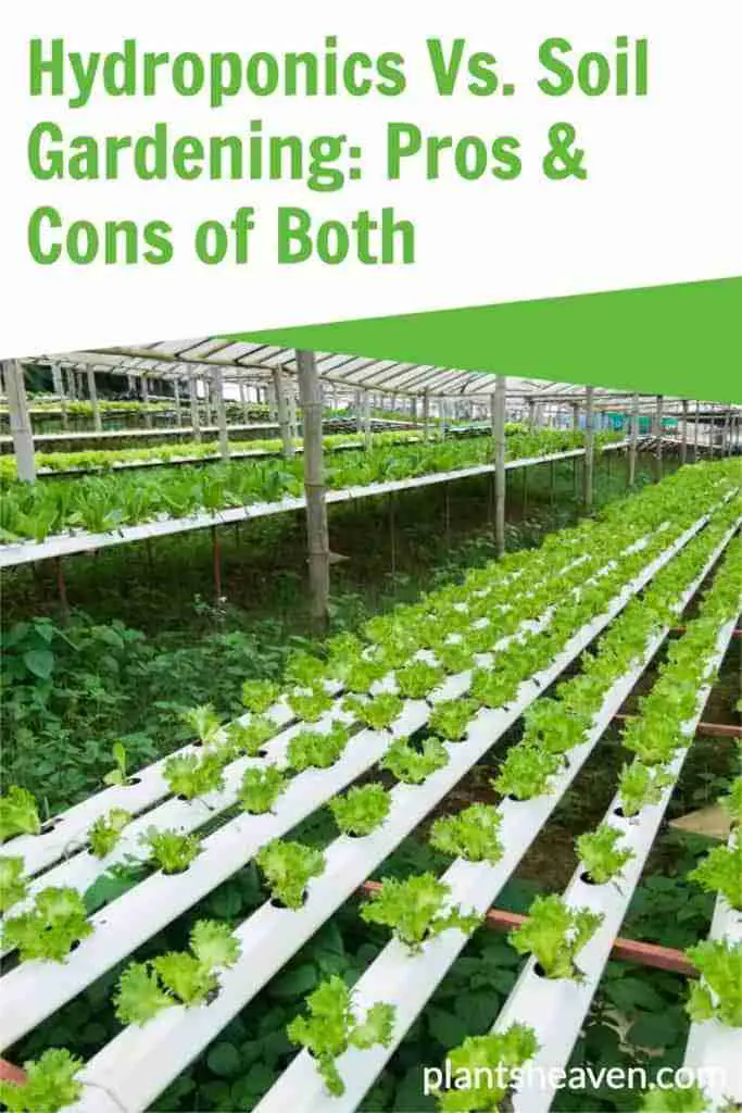 Hydroponics Vs. Soil Gardening: Pros & Cons Of Both | Plants Heaven