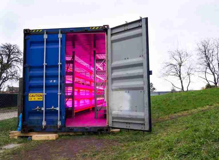 What Are Shipping Container Farms? Everything You Must Know | Plants Heaven