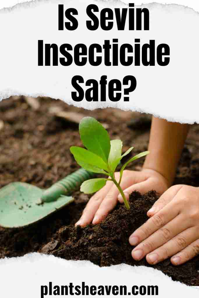 Is Sevin Insecticide Safe? Let's Unfold The Truth! | Plants Heaven