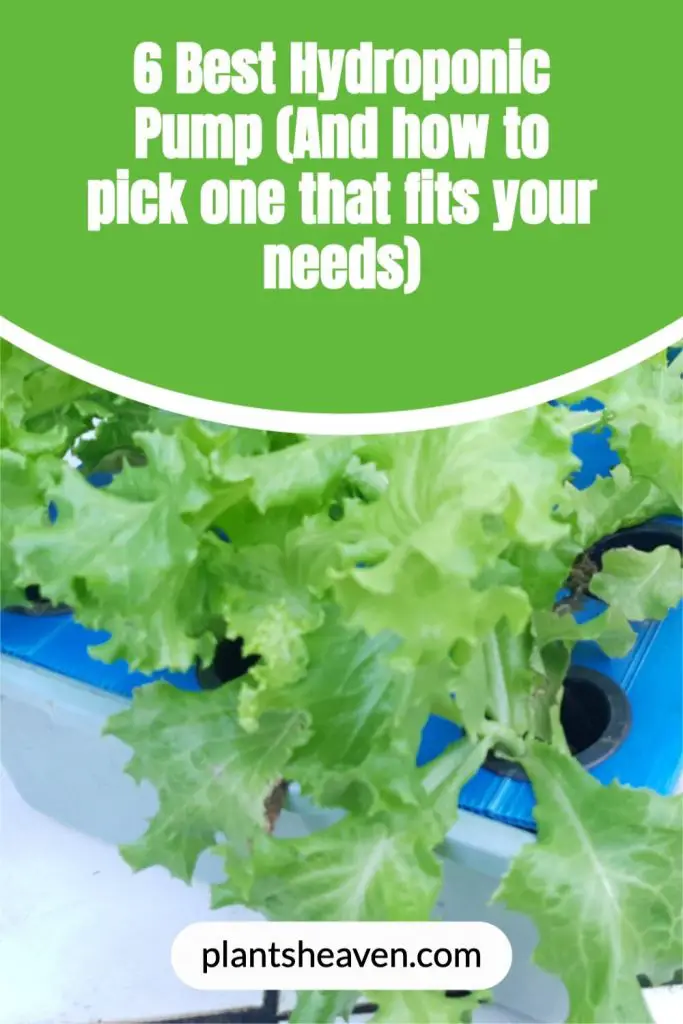 6 Best Hydroponic Pumps (And How To Pick One That Fits Your Needs ...