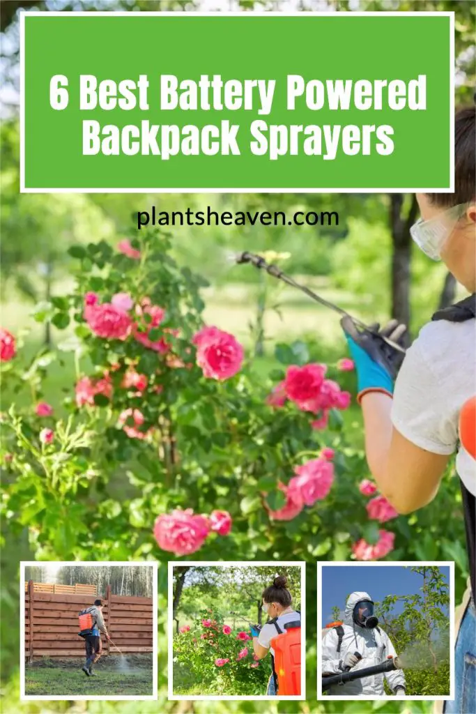 Top 6 Best Battery Powered Backpack Sprayers | Plants Heaven