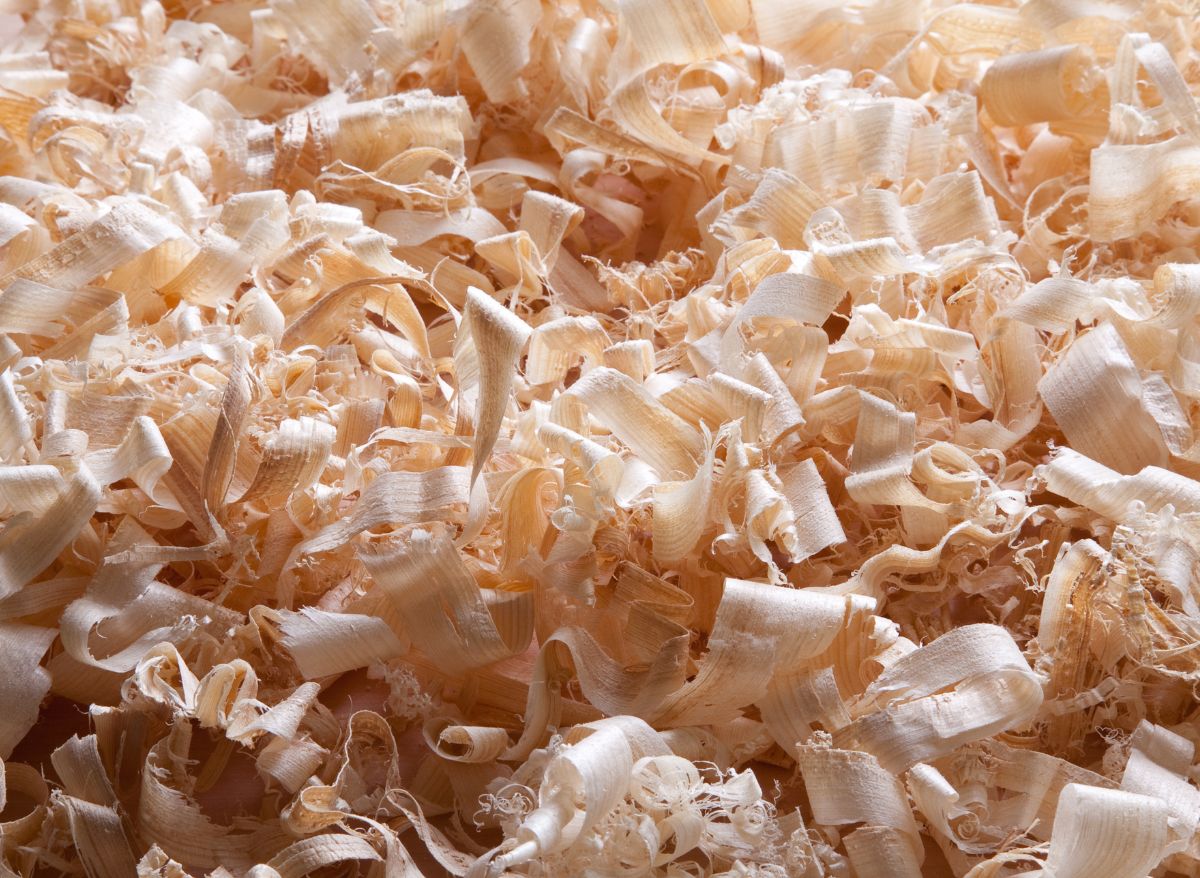 16 Best Growing Medium For Hydroponics (Which One Should You Choose ...