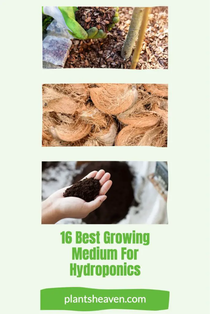 16 Best Growing Medium For Hydroponics (Which One Should You Choose ...