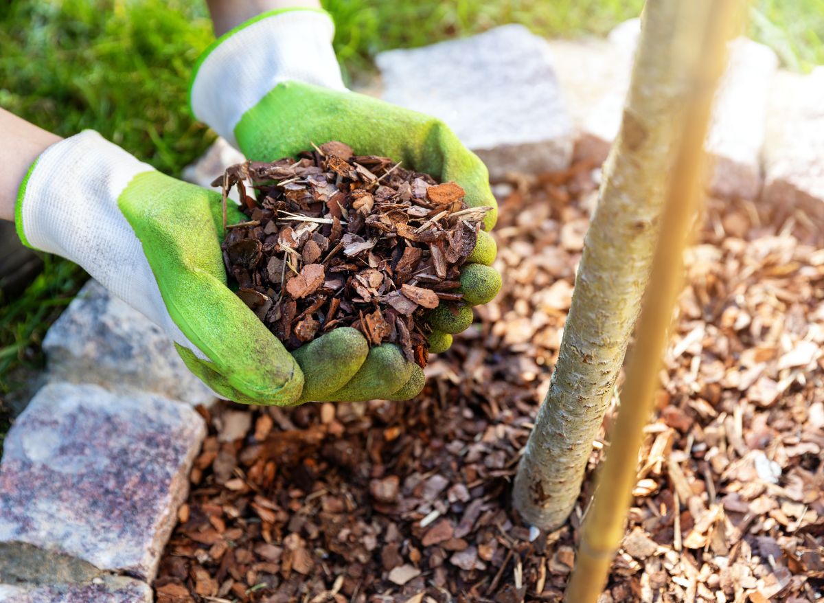 16 Best Growing Medium For Hydroponics (Which One Should You Choose ...