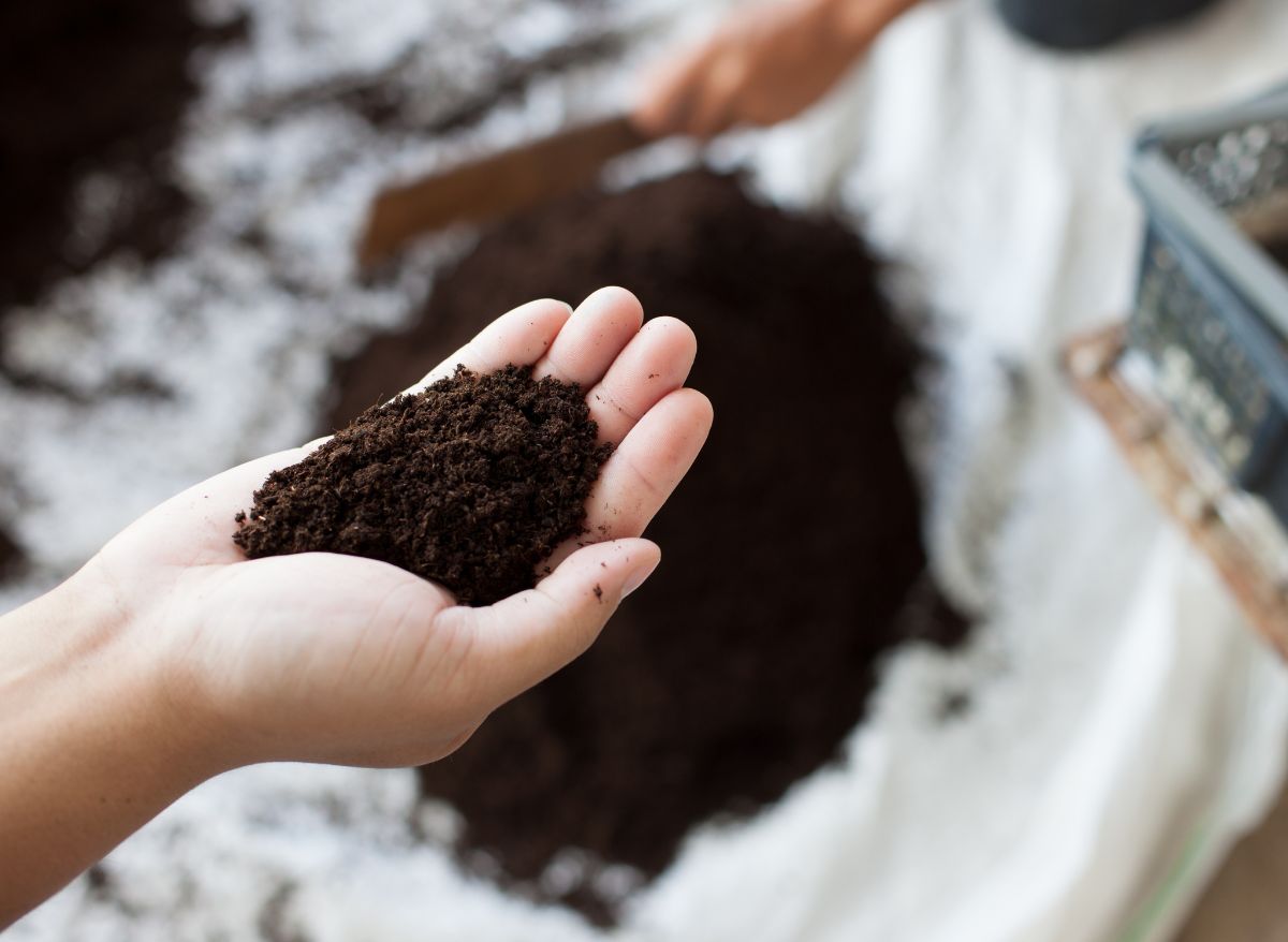 16 Best Growing Medium For Hydroponics (Which One Should You Choose ...