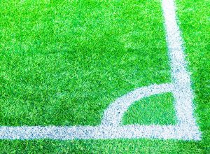 Will Spray Paint Kill Grass? (And Things To Consider When Using Spray Painting) | Plants Heaven