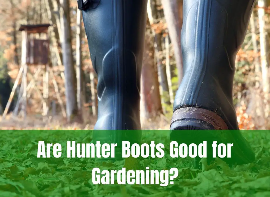 6 Reasons Why Hunter Boots Are Great For Gardening | Plants Heaven